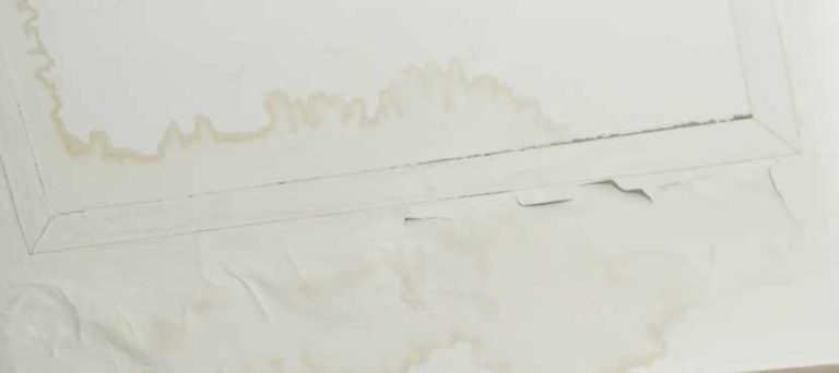 Paint Bubbling On Plaster Walls | Good Practices Before Painting
