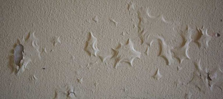 Paint Bubbling On Plaster Walls | Good Practices Before Painting
